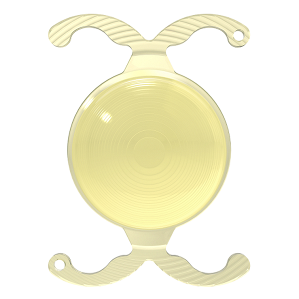 BVI Medical Norway – FINEVISION HP (POD F GF)